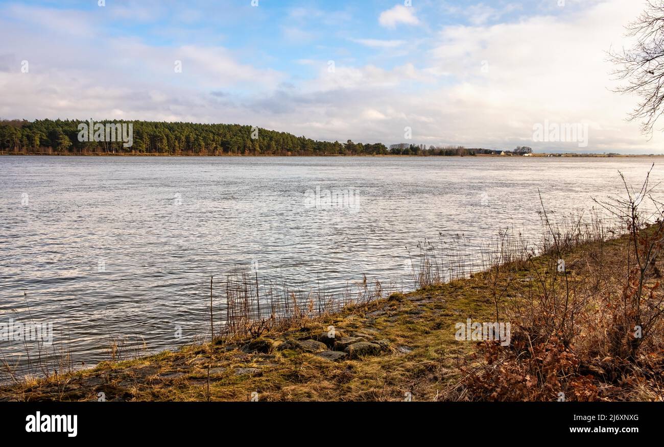 Winter landscape of Vistula river estuary to Baltic Sea aside Gull ...