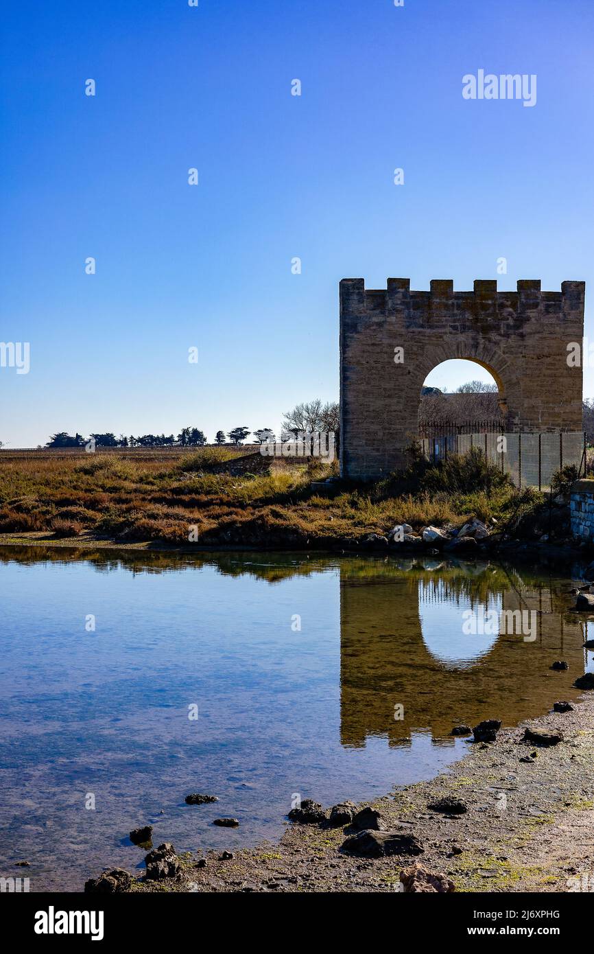 Maguelone hi-res stock photography and images - Alamy