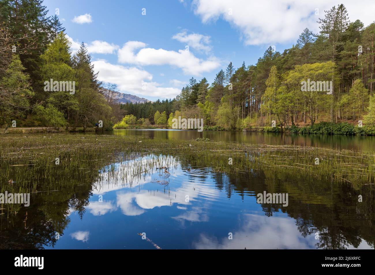 Glencoe Lochan, Scottish Highlands, Scotland, West coast, Argyle, UK ...