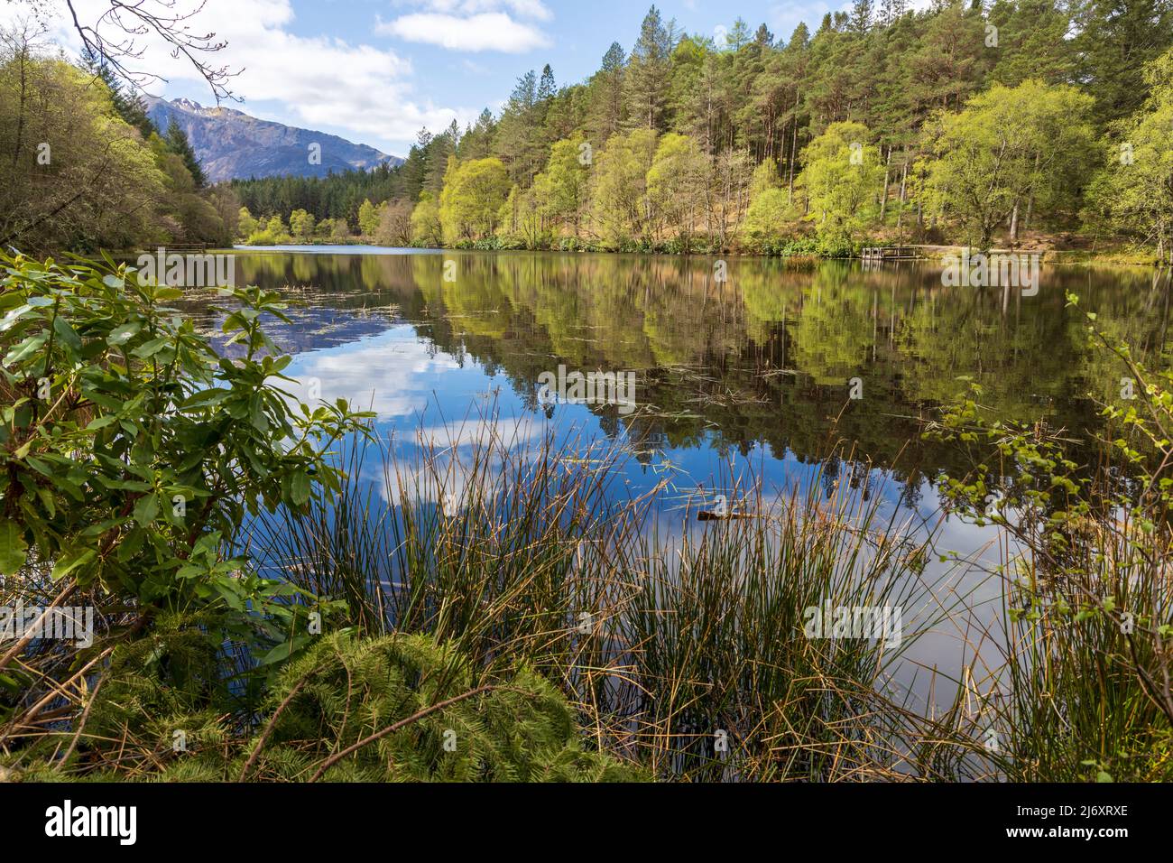 Glencoe Lochan, Scottish Highlands, Scotland, West coast, Argyle, UK ...