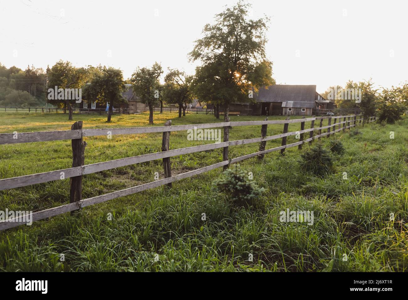 atmospheric picturesque meadow field and summer landscape at sunset ...