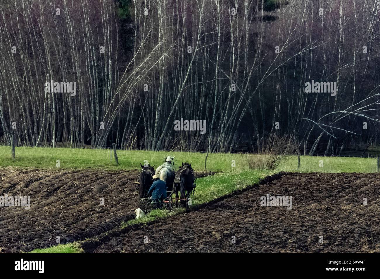 Amish farmer hi-res stock photography and images - Alamy