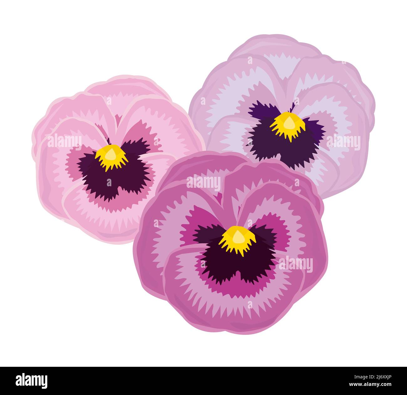 Plant buds in spring Stock Vector Images - Alamy