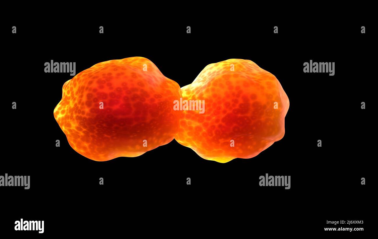Organoids 3d illustration render Glowing Organoids . Back lit, back ...