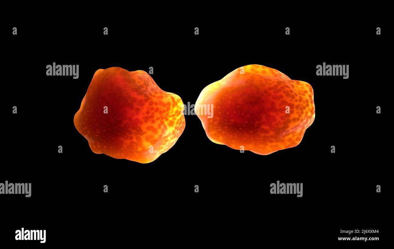 Organoids 3d illustration render Glowing Organoids . Back lit, back ...