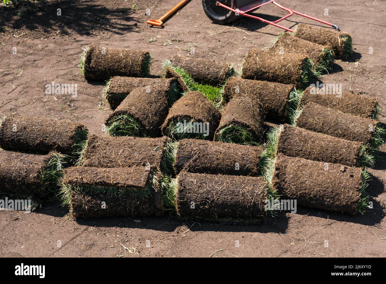 Rolls of lawn grass on sunny day - country house and landscape design ...
