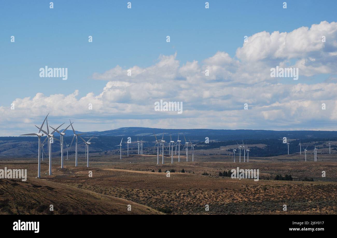 Wind farm array in Eastern Washington State Stock Photo - Alamy