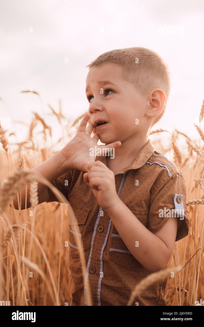 A little boy stands in a field in wheat and looks away Stock Photo - Alamy