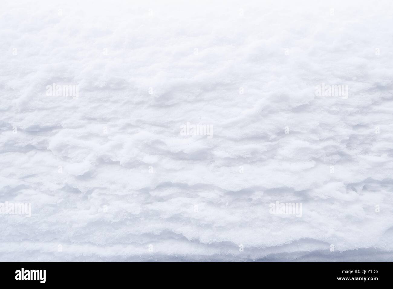 Winter snow. Snow texture Top view of the snow. Texture for design ...