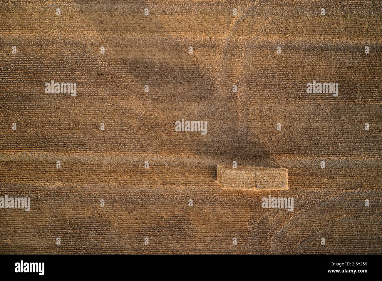 harvest of wheat almost finished Stock Photo - Alamy