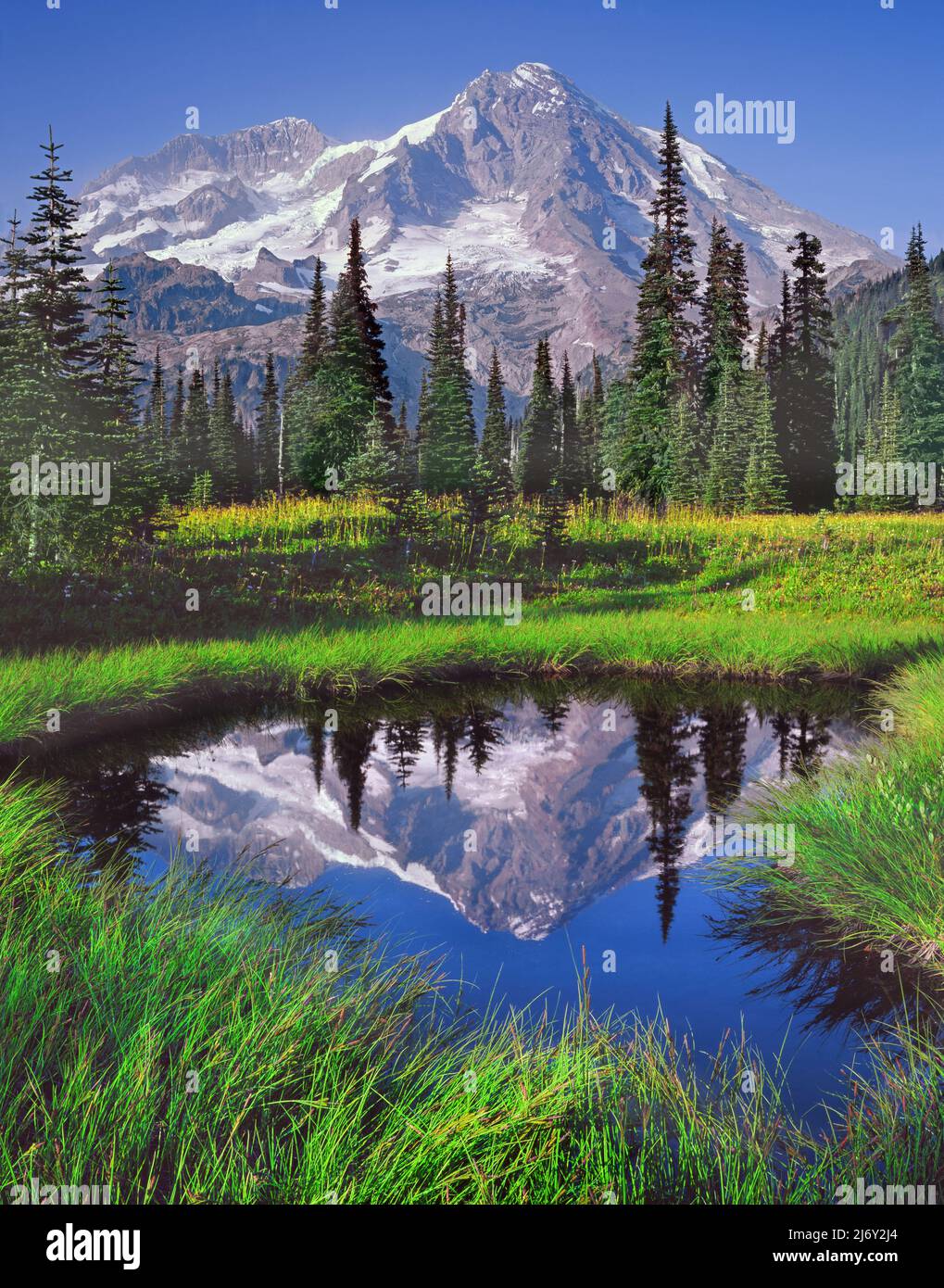 Indian Henry's Hunting Ground, Wonderland Trail, Mt. Rainier National ...
