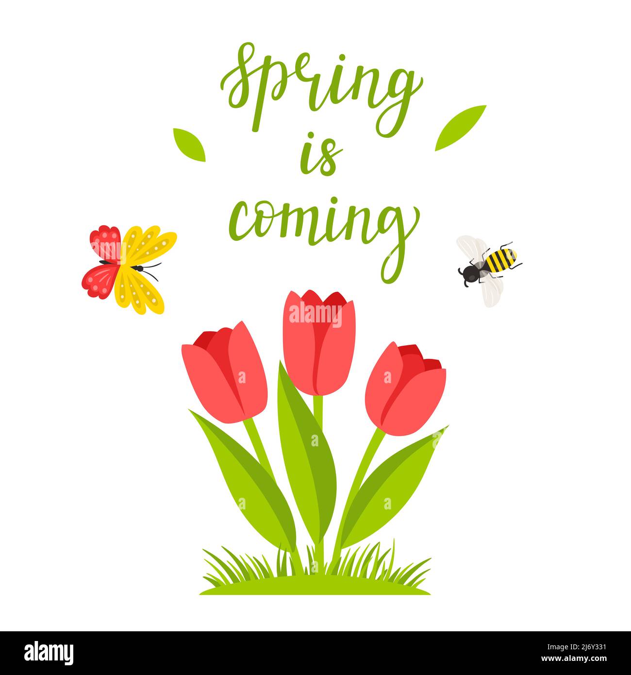 A bush of red tulips and a calligraphic inscription-Spring is coming ...