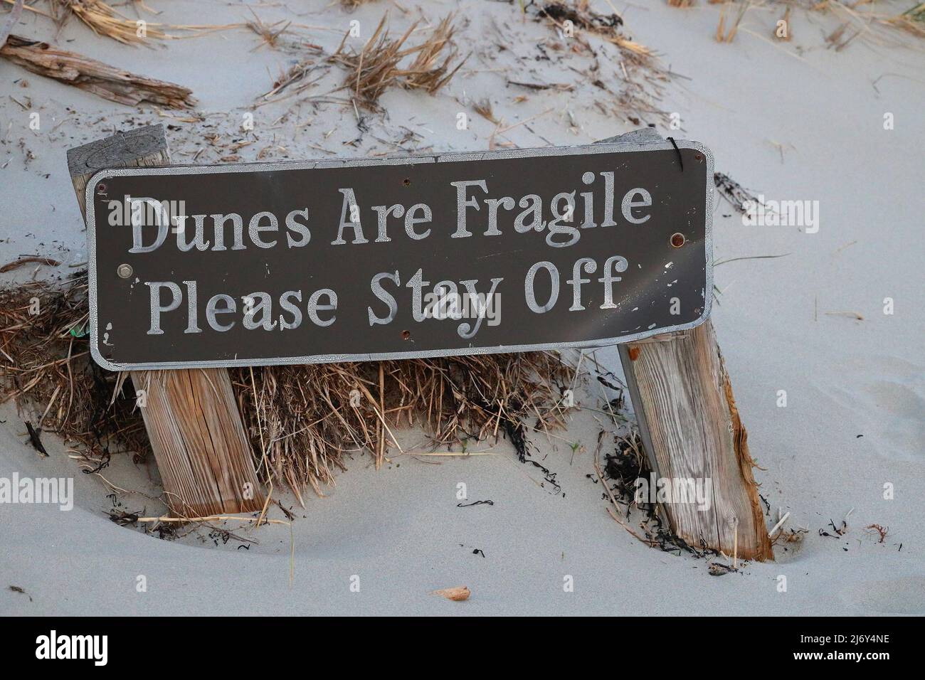 Dunes Are Fragile Please Stay Off sign at the beach Stock Photo - Alamy