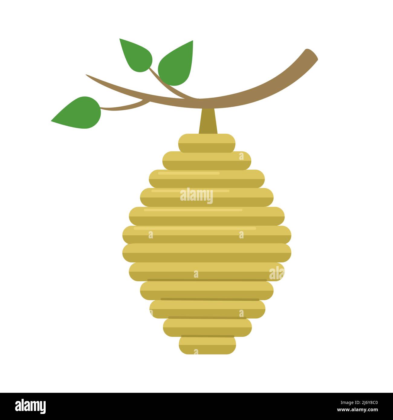 Beehive isolated on white background. House of wild bees on tree branch ...