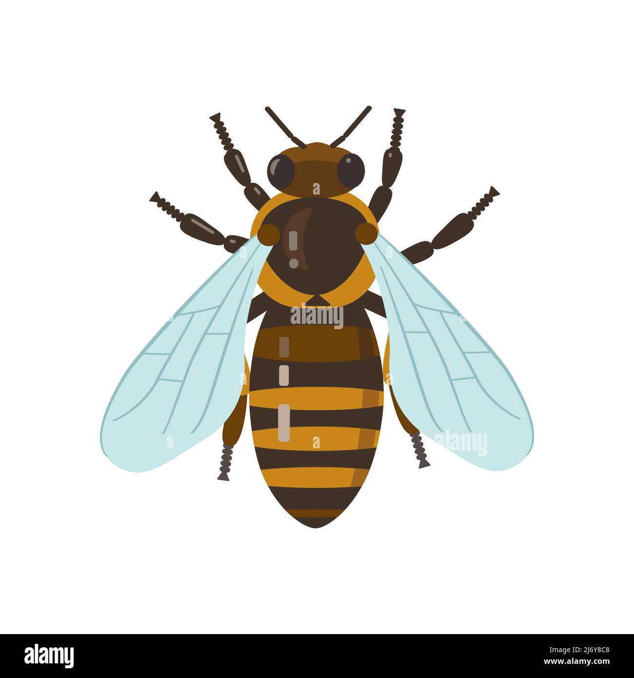 Cartoon bee Illustration isolated on white background Stock Vector ...