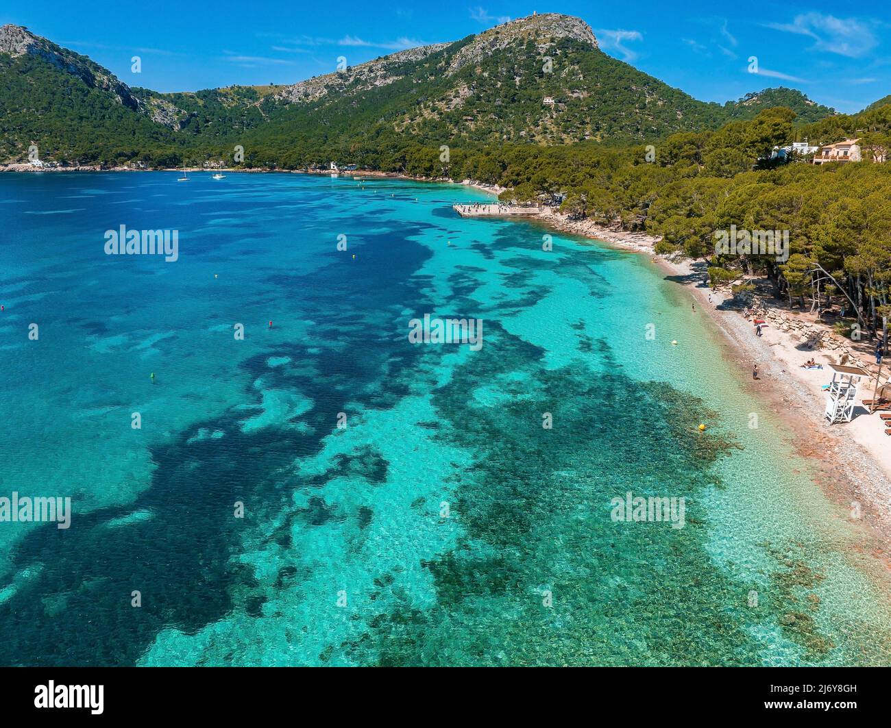 Tropical paradise beach with white sand and coco palms Stock Photo - Alamy