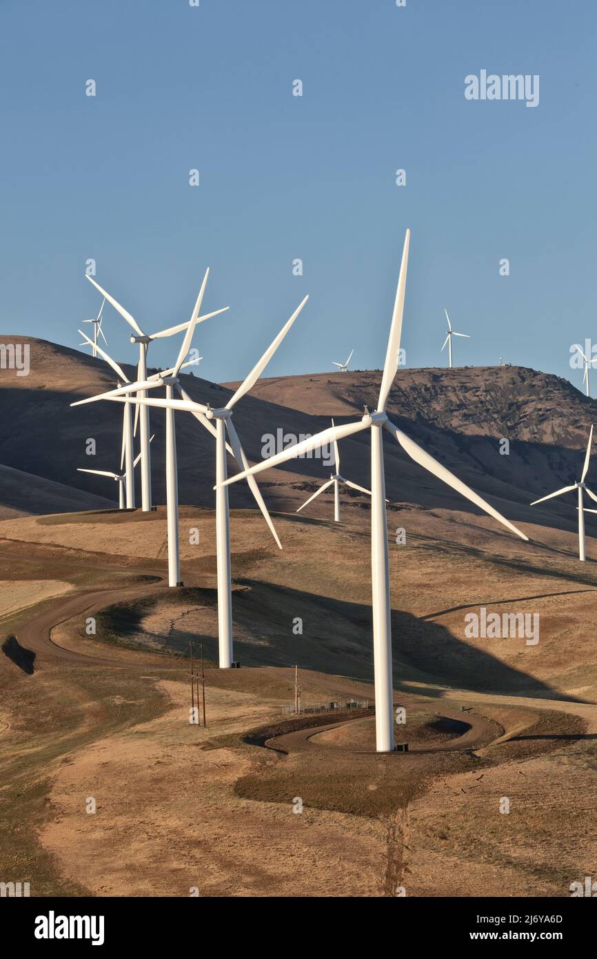 Wind Farm, native flora, overlooking Columbia River Gorge, pm light ...
