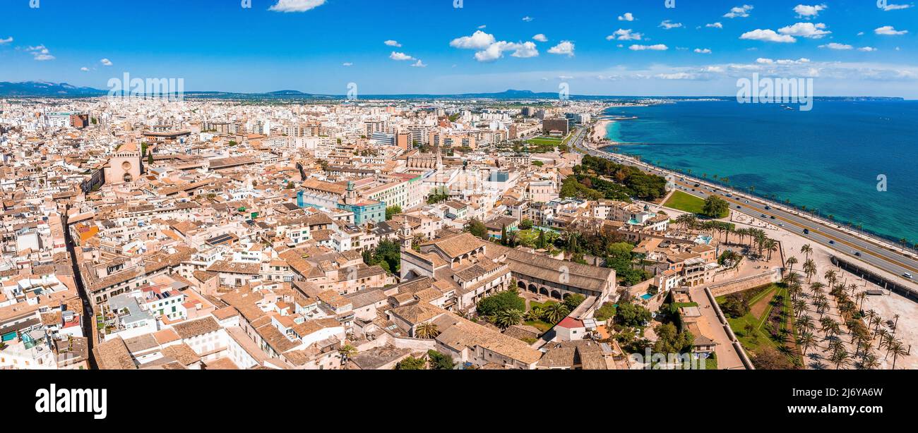 Gothic medieval cathedral of Palma de Mallorca in Spain Stock Photo - Alamy