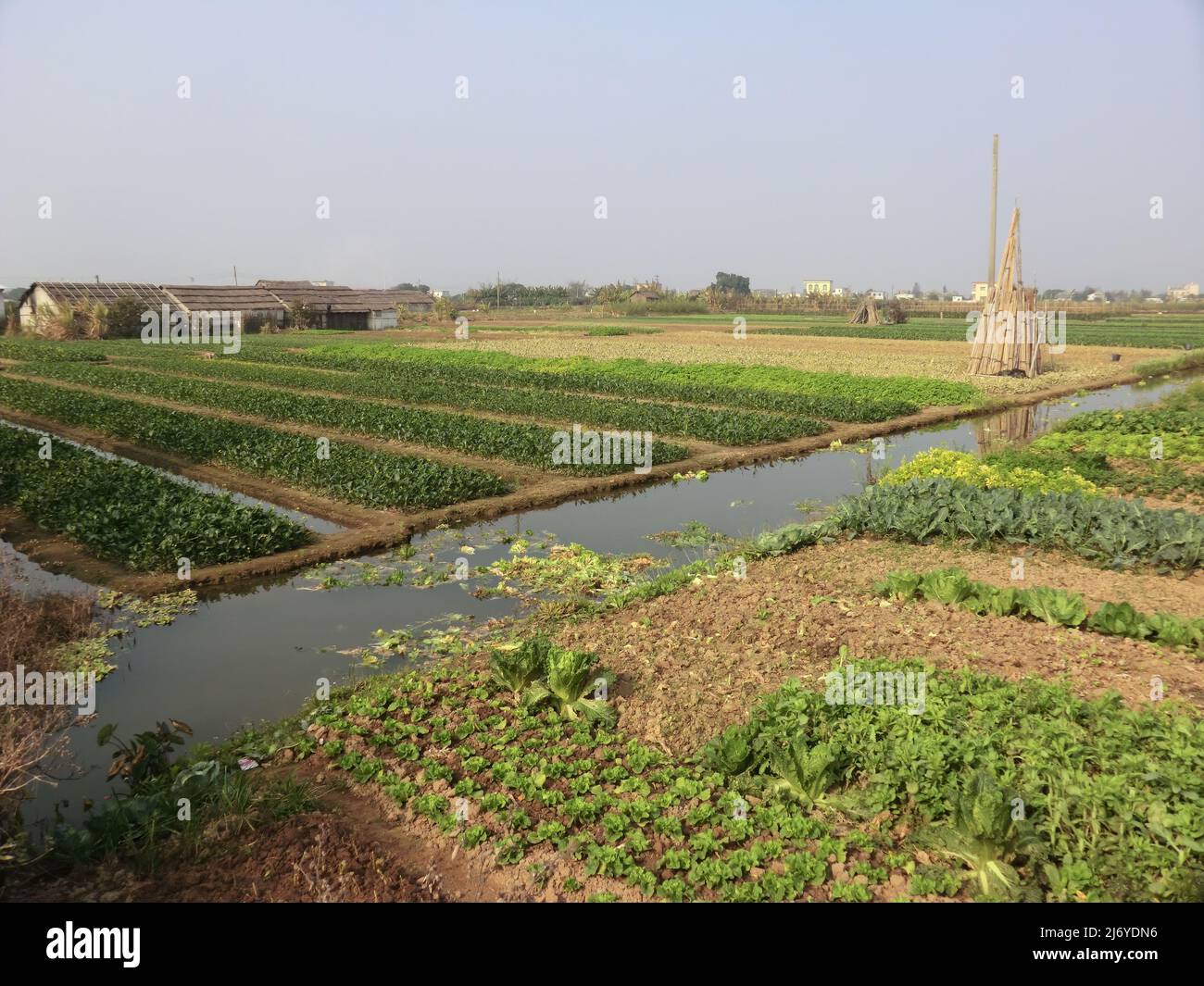 Sunny view of a rural farm at Zhuhai, China Stock Photo - Alamy