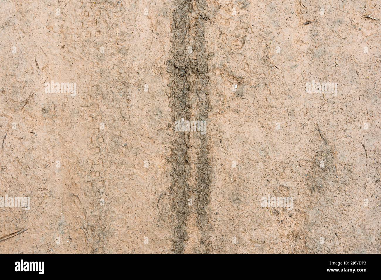 Seamless Wet Mud Texture