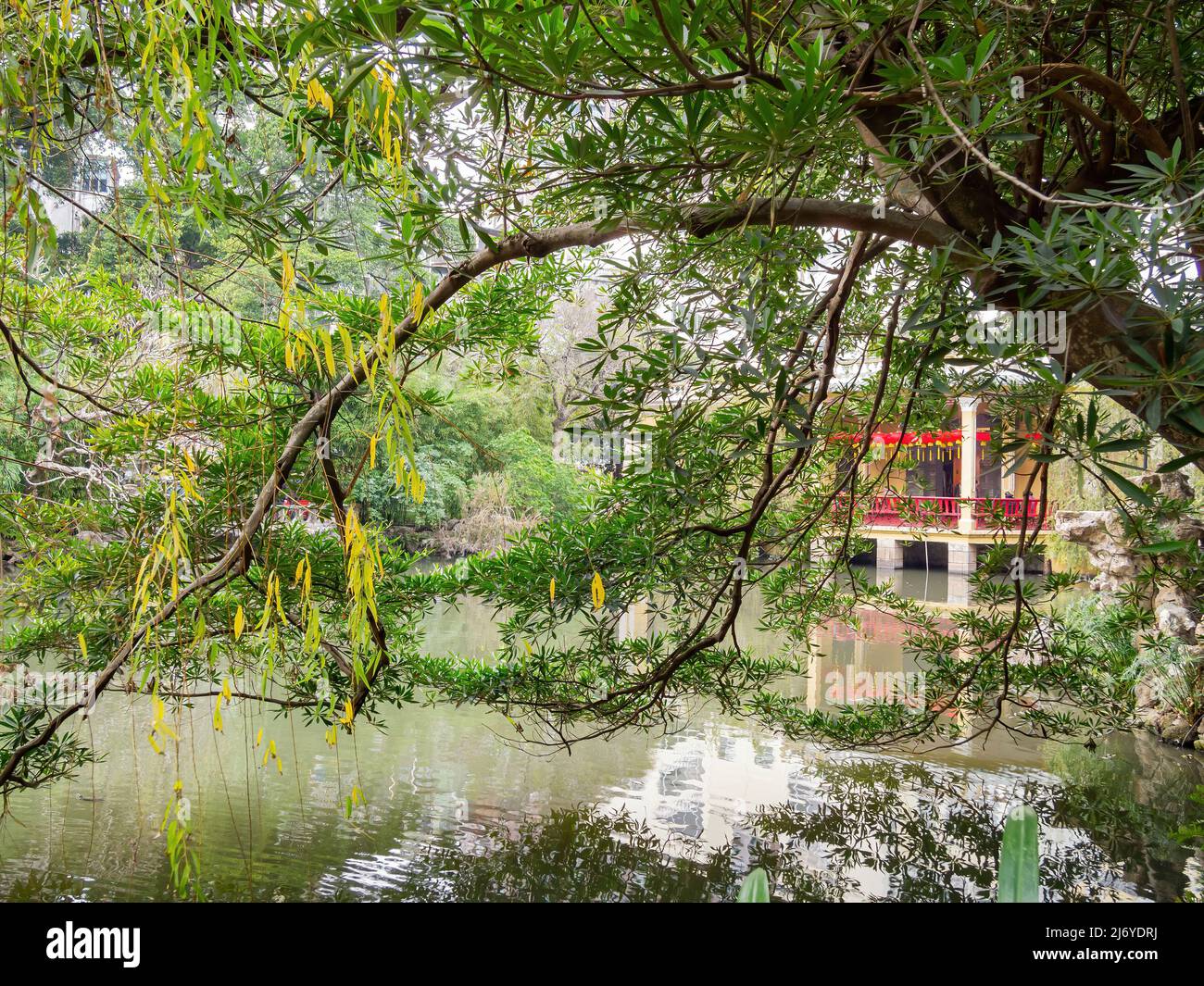 Lou lim ieoc garden hi-res stock photography and images - Alamy