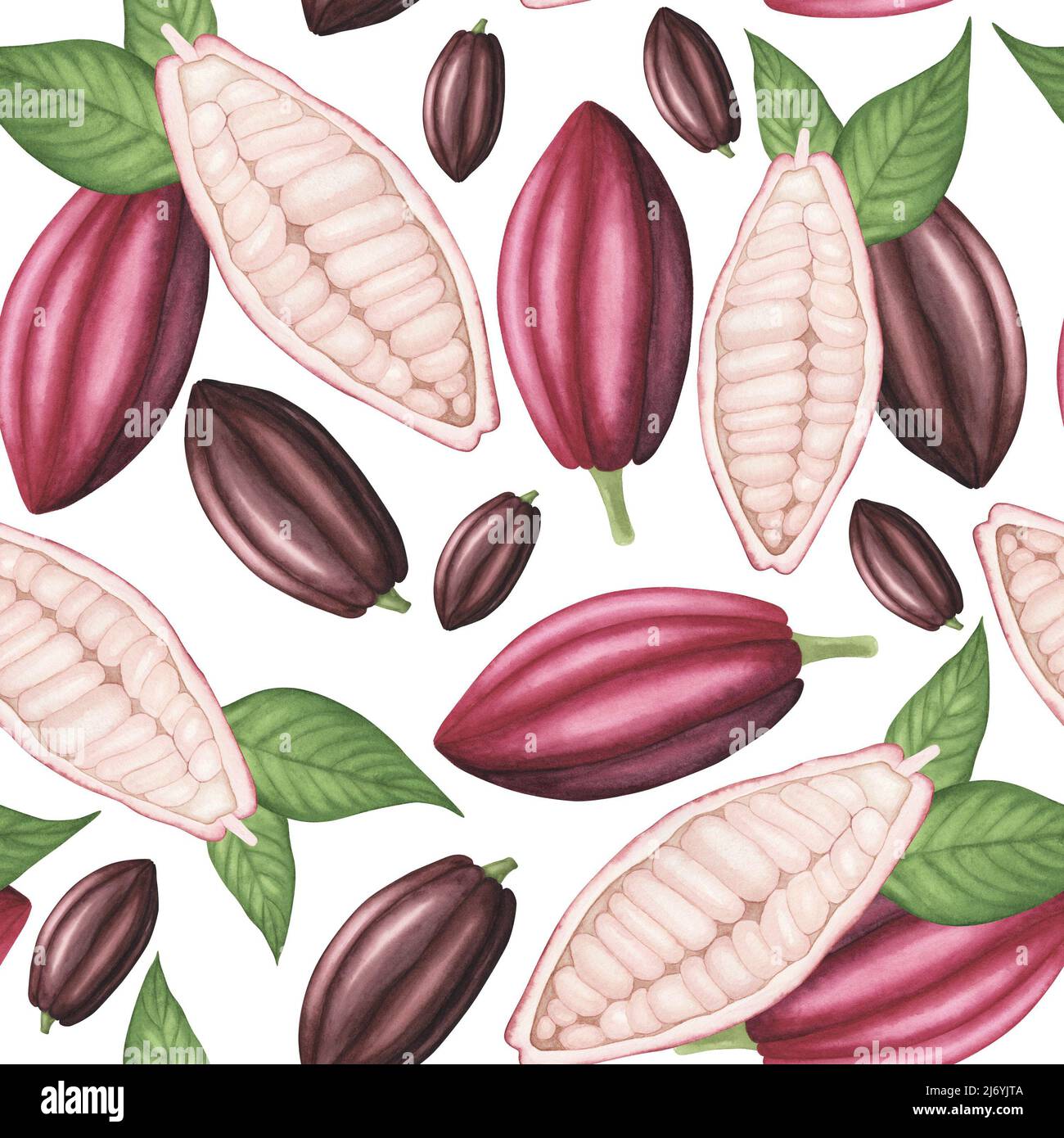 Cocoa pod with beans, leaves seamless pattern on white background ...