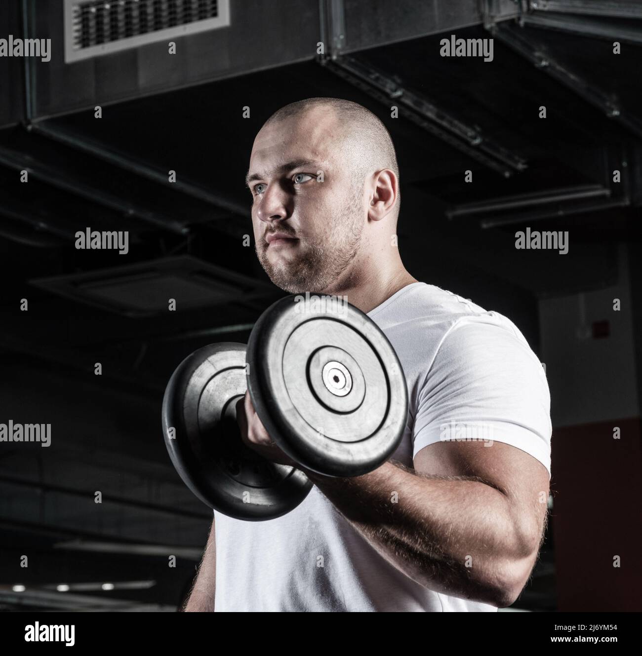Male bodybuilder engaged with dumbbells in the gym Stock Photo - Alamy
