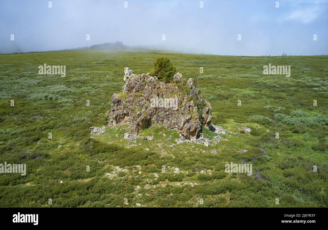 Lonely stone cliff on the mountainside. At the top grows a cedar tree ...