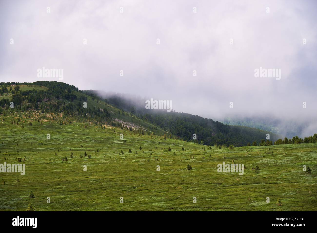 Seminsky hi-res stock photography and images - Alamy