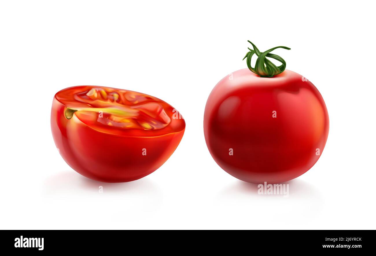 Two half cut tomato tomatoes Stock Vector Images - Alamy