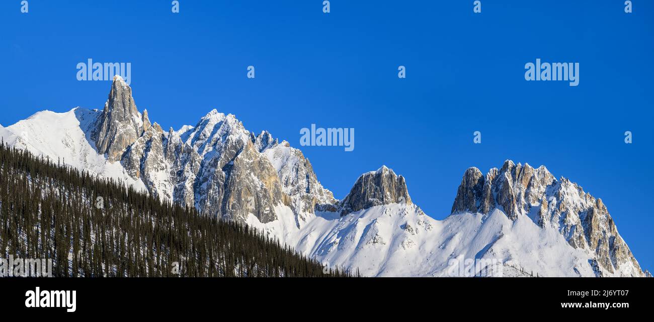 Alaska range panorama hi-res stock photography and images - Alamy