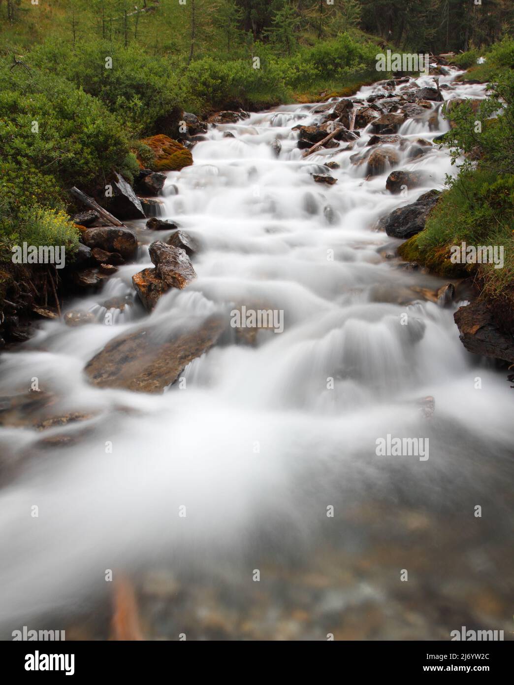 Forest stream running over rocks in french alps Stock Photo - Alamy