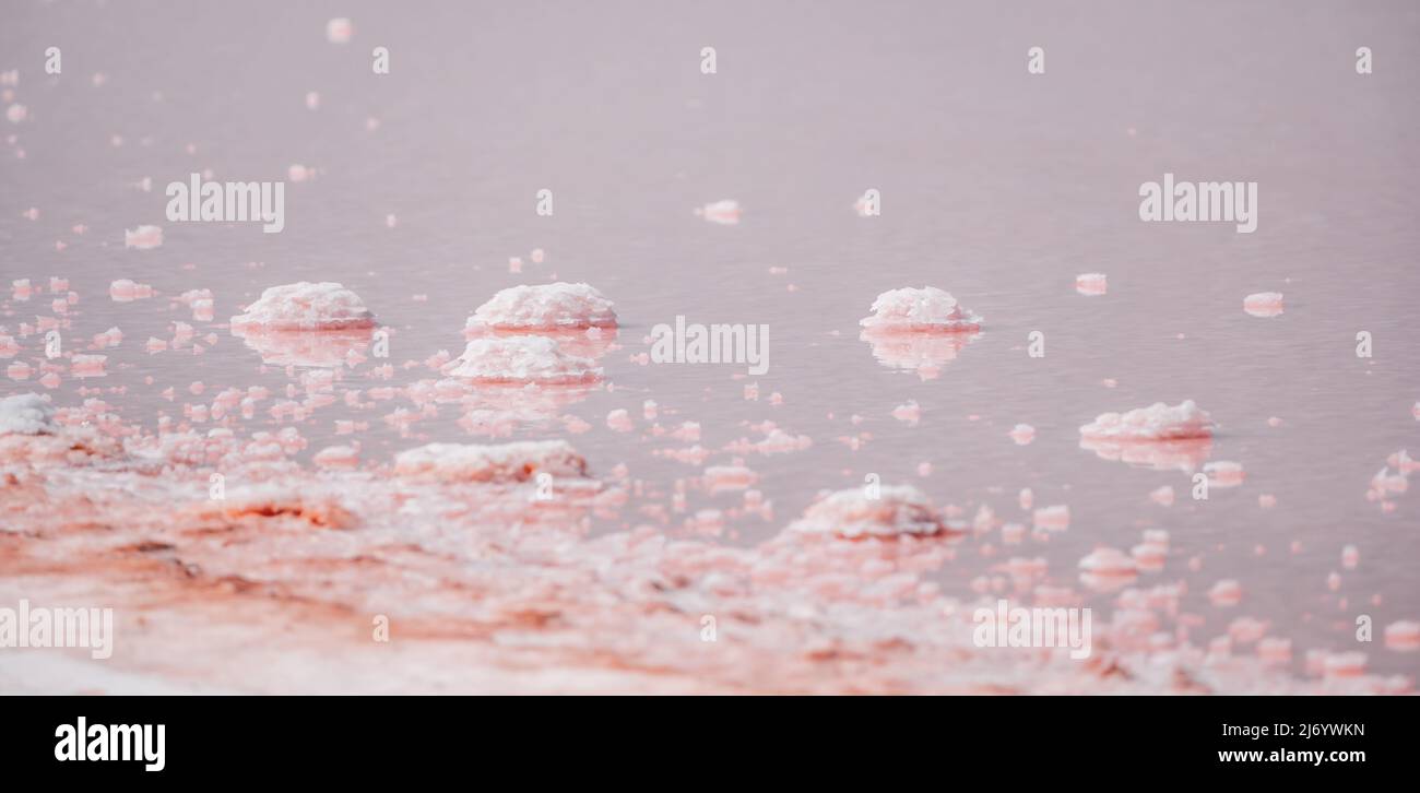 Pink salt crystals. Natural pink salt lake texture. Salt mining ...