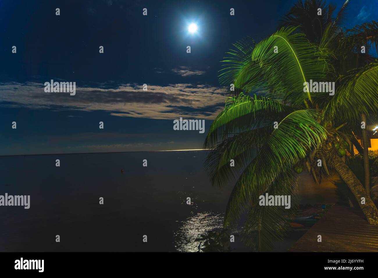 Moon Night Reflection Palm Trees Pier Blue Water Moorea Tahiti French ...