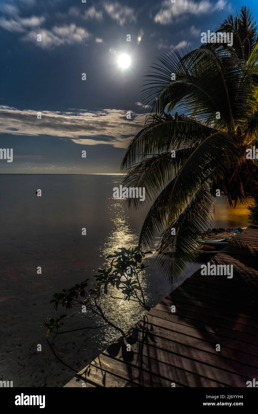 Moon Stars Night Reflection Palm Trees Pier Blue Water Moorea Tahiti ...