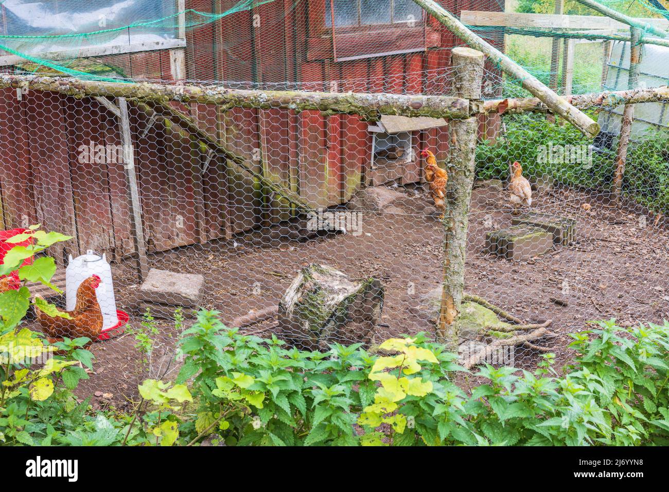 Chicken farm in the country Stock Photo - Alamy