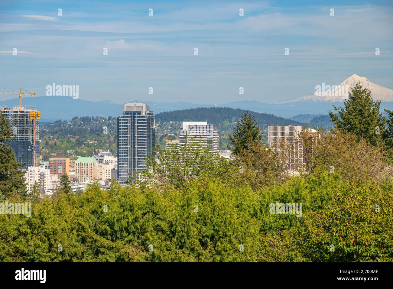 Portland skyline from park hi-res stock photography and images - Alamy
