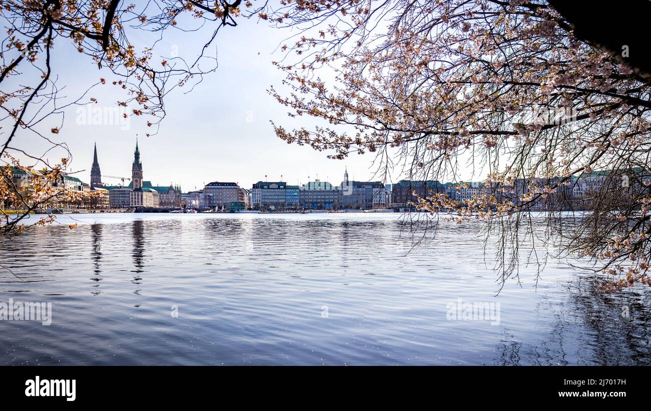 Hamburg waterfront skyline hi-res stock photography and images - Alamy
