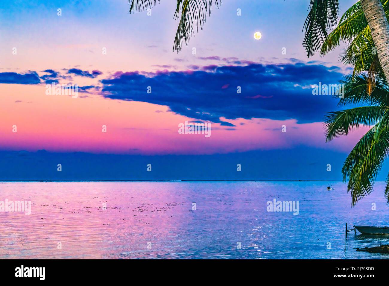 Moon Sunset Reflection Palm Trees Blue Water Moorea Tahiti French ...