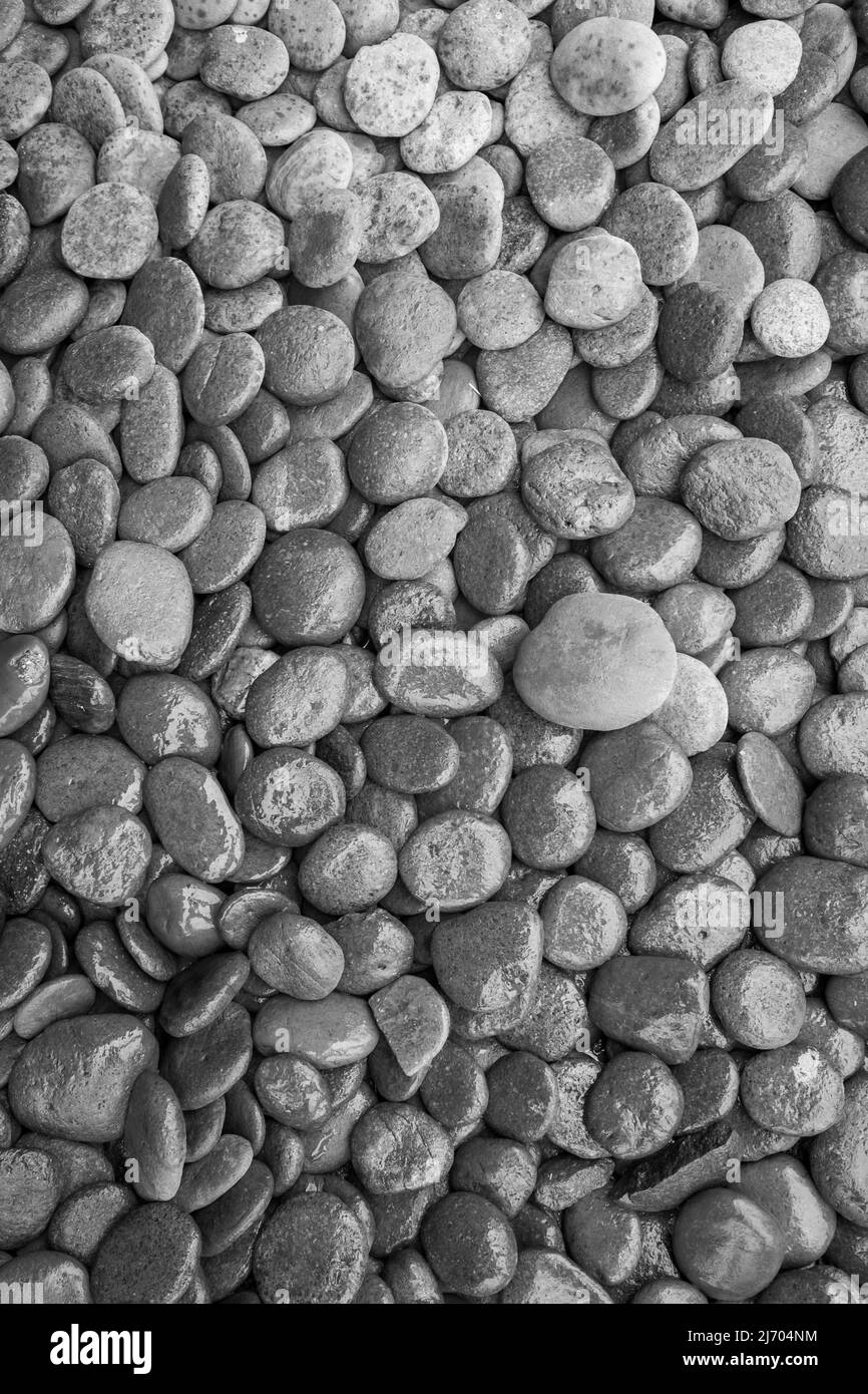 Texture river pebbles Black and White Stock Photos & Images - Alamy