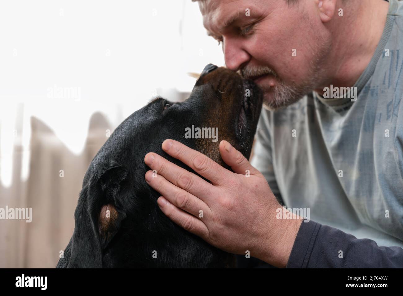 A man stroking and kissing a large black dog. The owner kisses his pet ...