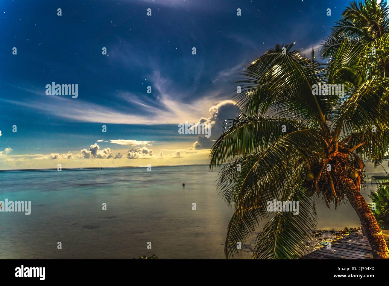 Moonlight Stars Clouds Night Coconut Palm Trees Pier Blue Water Moorea ...