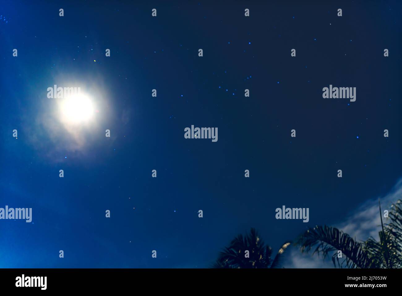 Moon Moonlight Stars Orion Constellation Mars Night Palm Trees Moorea ...