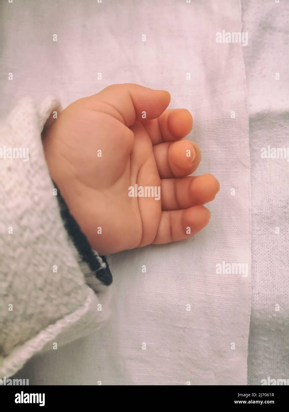 Baby hand close-up Stock Photo - Alamy