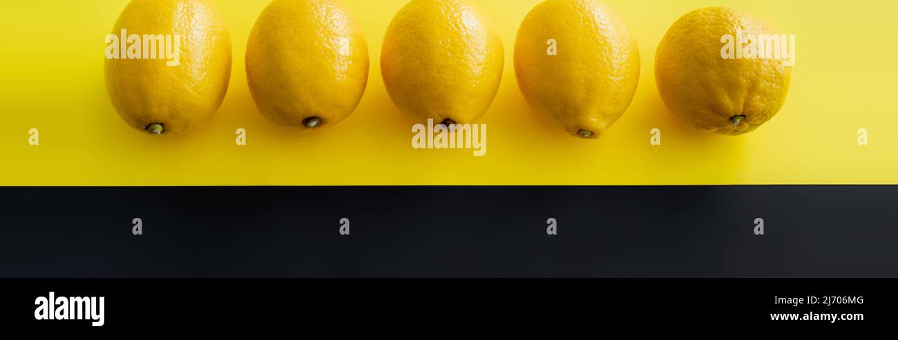 Top view of row of ripe lemons on black and yellow background, banner ...