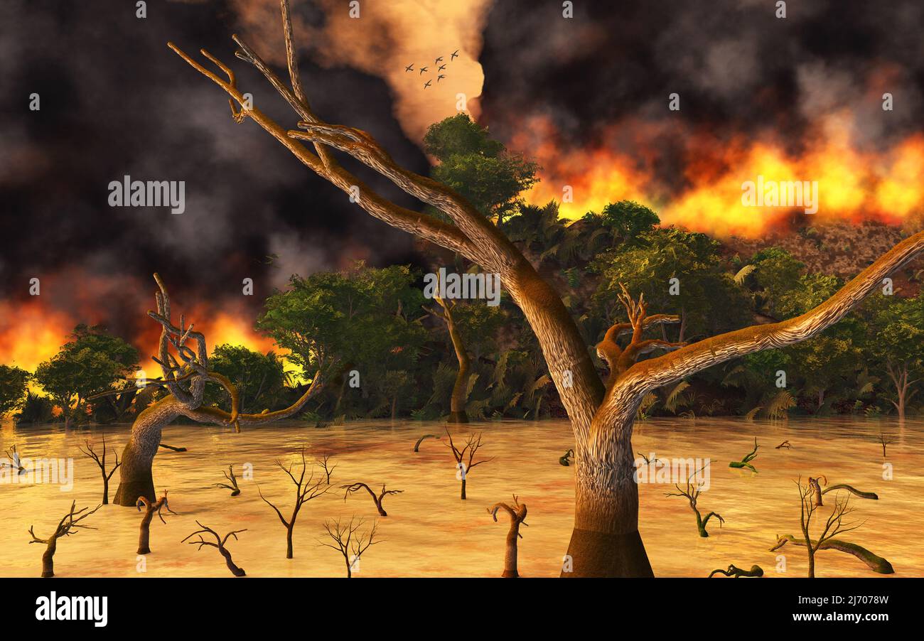 Deforestation erosion hi-res stock photography and images - Alamy