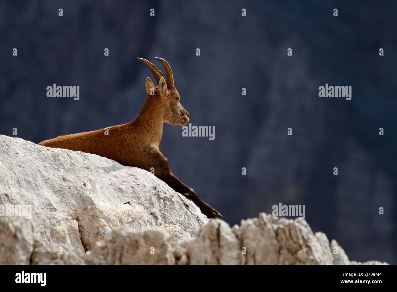 Rock female hi-res stock photography and images - Alamy