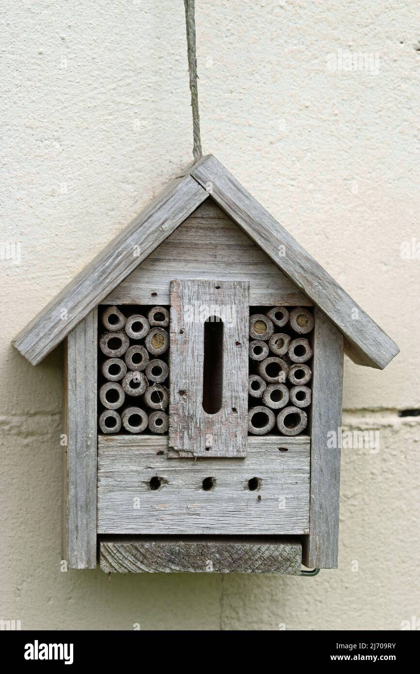 Bug hotel in the shape of a bird nest box with bamboo canes and holes ...