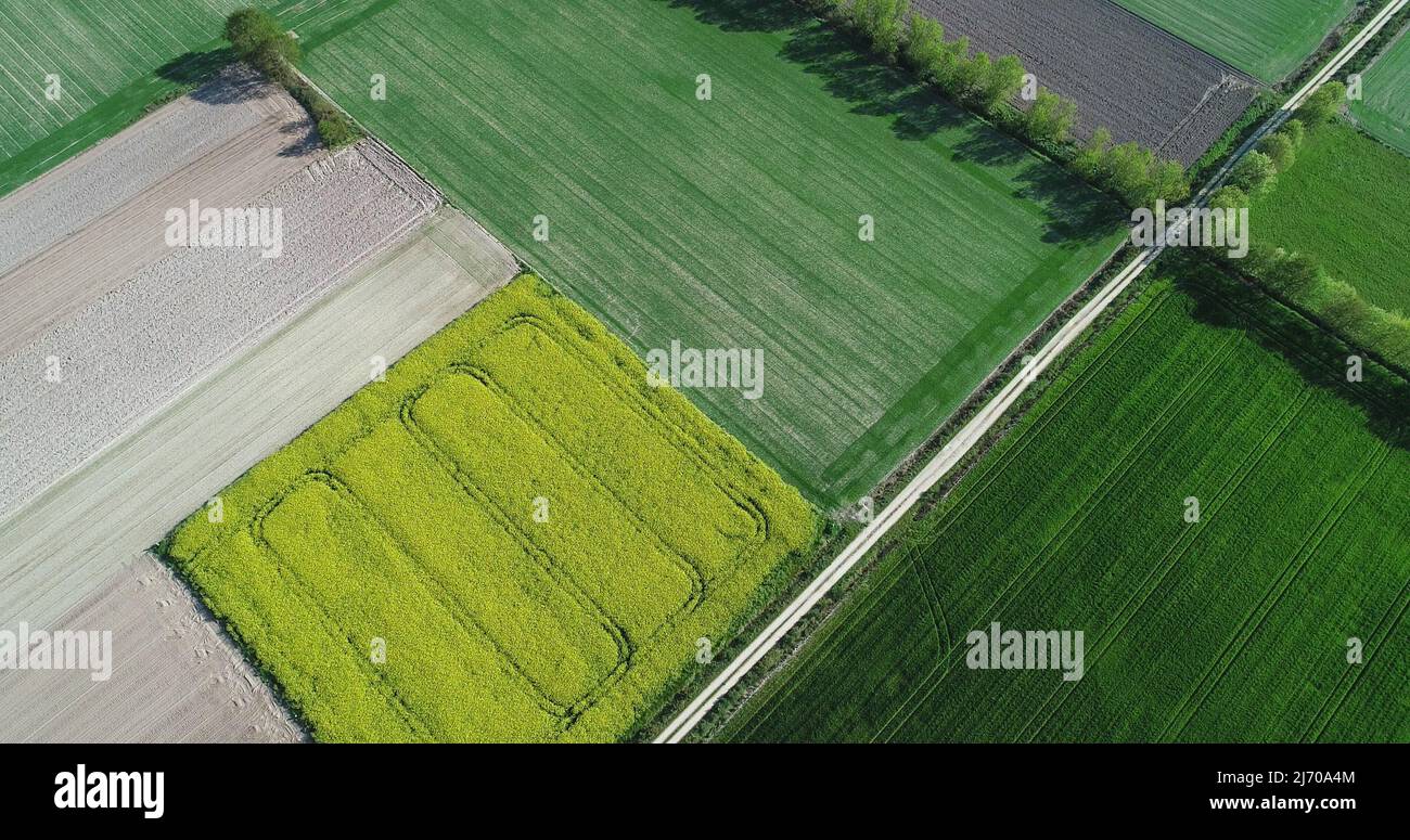 Aerial View Green Spring Field Landscape With Trails Lines. Top View Of ...