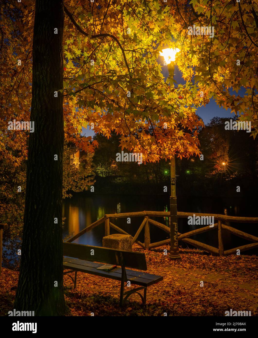 A view from the Valentino park on the po rivers and borgo medievale ...